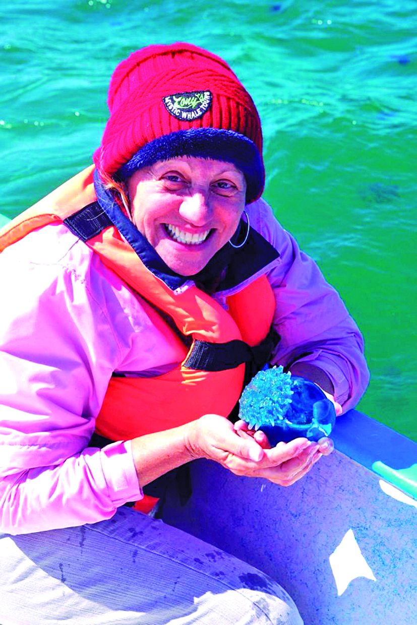 Tony’s Mystic Whale Tours | Rocky Point Times Newspaper