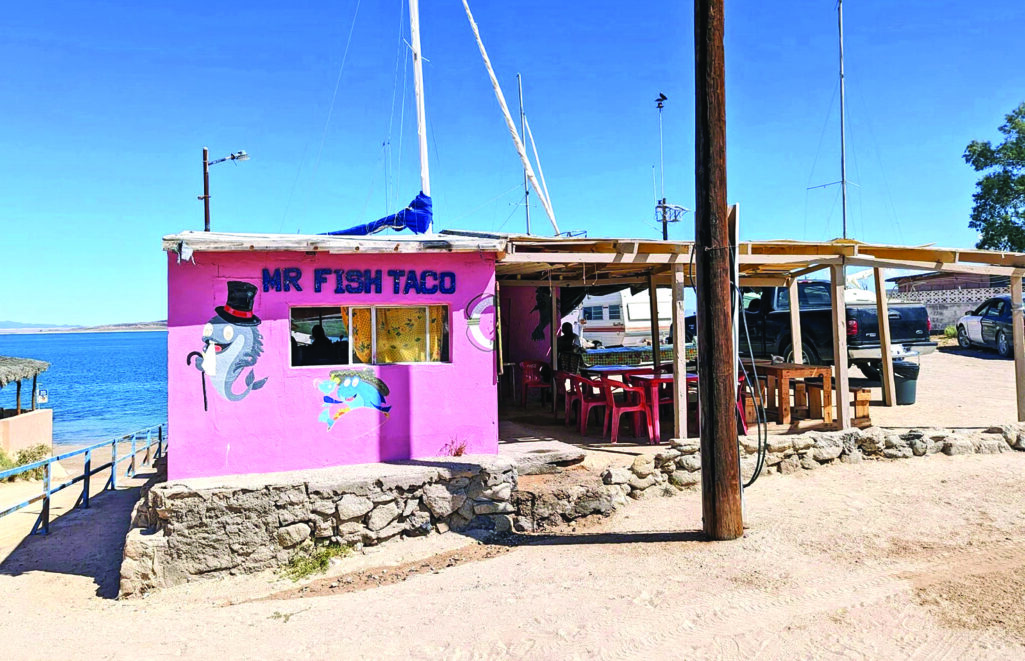 Face Lift for an Old Fish | Rocky Point Times Newspaper